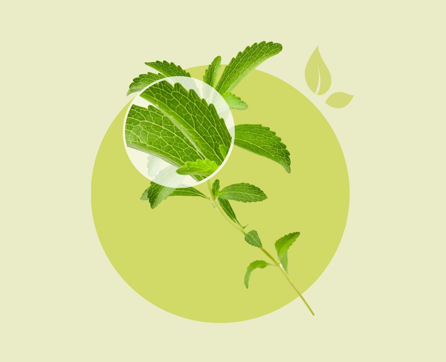 Stevia | PURE VIA